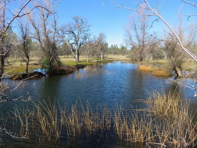 41 Acres Ash Creek Rd, Anderson, CA 96007