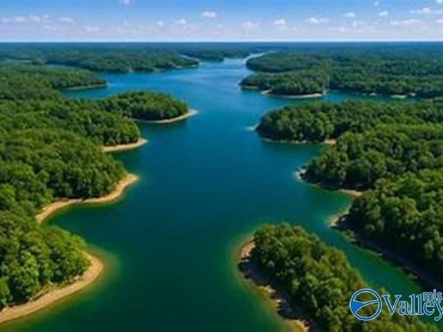 41 Acres Big Bear Branch Rd, Double Springs, AL 35553