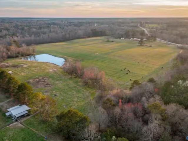 41 ACRES COUNTY ROAD 164, PISGAH, AL 35765