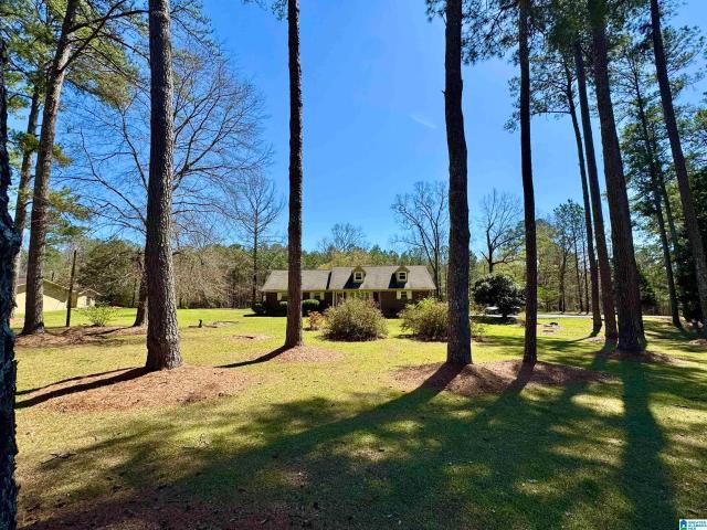 41 Armstrong Loop