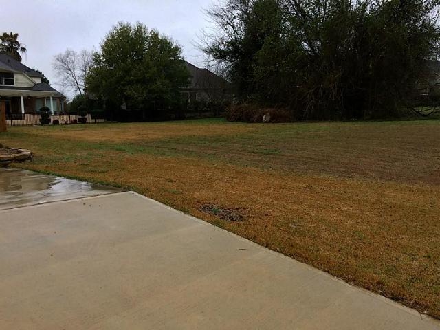 41 Bellingham Ct, Montgomery, TX 77356 | MLS #31133