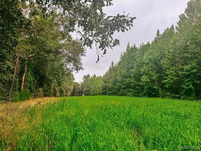 41 County Road 24, Auburn, AL 36083