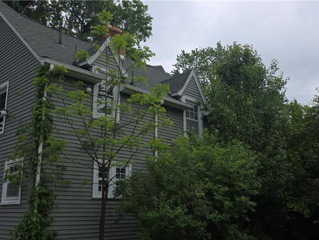 41 Crestline Place