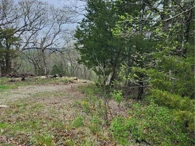 41 E Ridgewood Cir, Linn Valley, KS 66040
