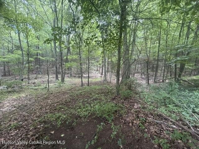 41 Eddy St, Saugerties, NY 12477
