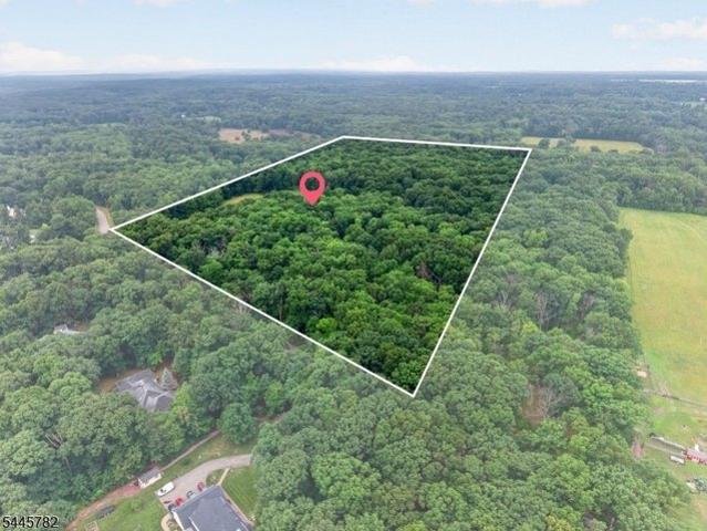 41 Featherbed Ln, Raritan, NJ 08822