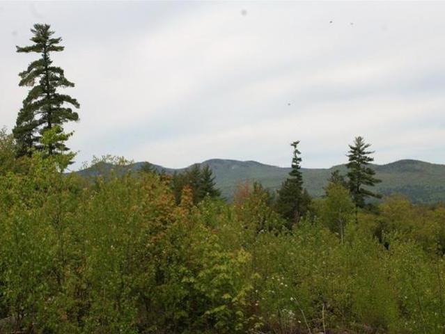 41 Federal Rd, Fryeburg, ME 04037 | MLS #1622 | Compass