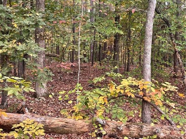 41 Fox Fire Ln SW, Cartersville, GA 30120 | MLS #7521