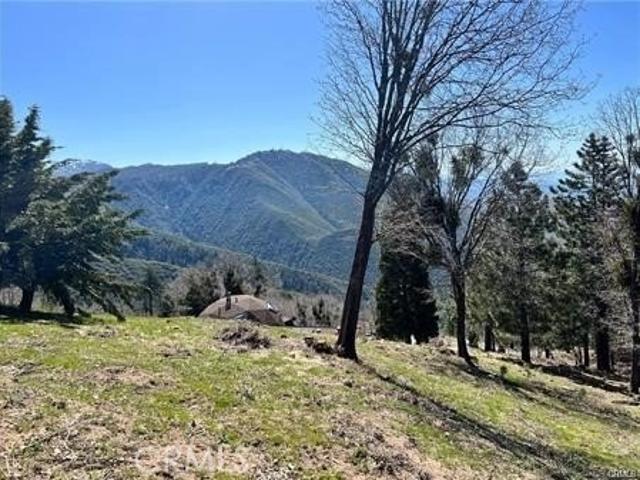 41 Fredalba Rd, Running Springs, CA 92382