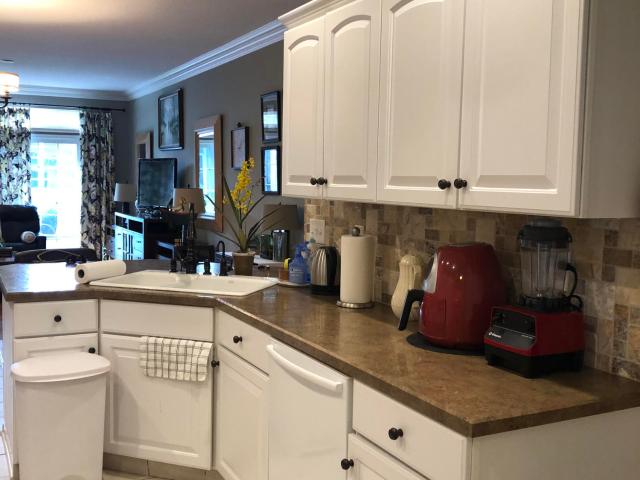41 Greylawn Drive