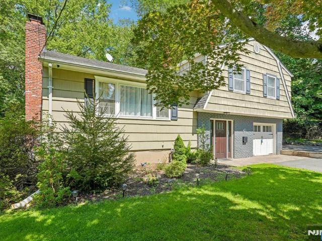 41 Magnolia Avenue