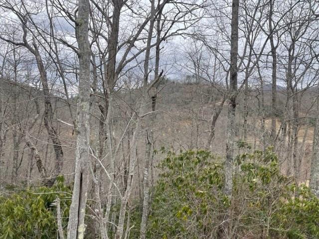 41 Mystic Ridge Way W # 41
