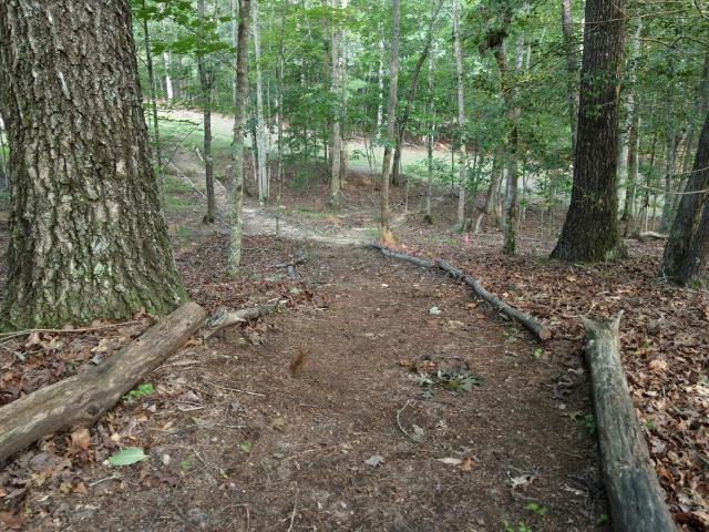 41 Old Wilscott Ln, Blairsville, GA 30512 | MLS #421108