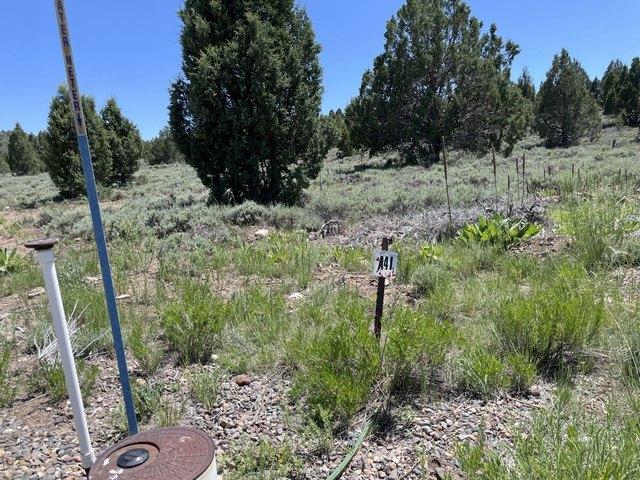 41 Ouray Cir, Long Valley, UT 84710