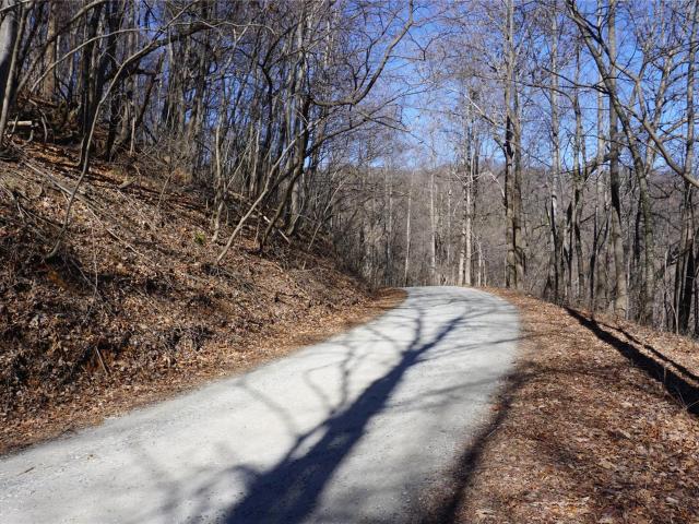 41 Pinnacle Pkwy, Union Mills, NC 28167 | MLS #4106