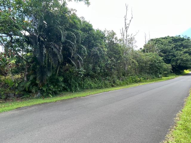 41 Pomaikai St, Pahoa, HI 96778 | MLS #711019
