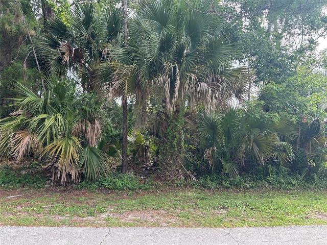 41 Poplar Dr, Palm Coast, FL 32164 | MLS #FC310477 | Compass