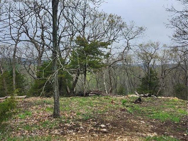 41 Ridgewood Cir, Linn Valley, KS 66040 | MLS #2613