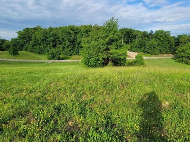 41 Shiloh Springs Rd, Rutledge, TN 37861