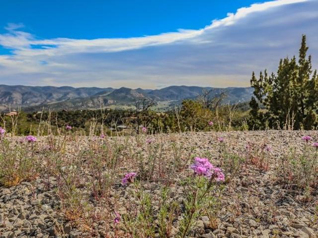 41 Sierra Blanca Rd, High Rolls Mountain Park, NM 88325