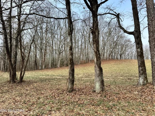 41 Smith Mountain Rd