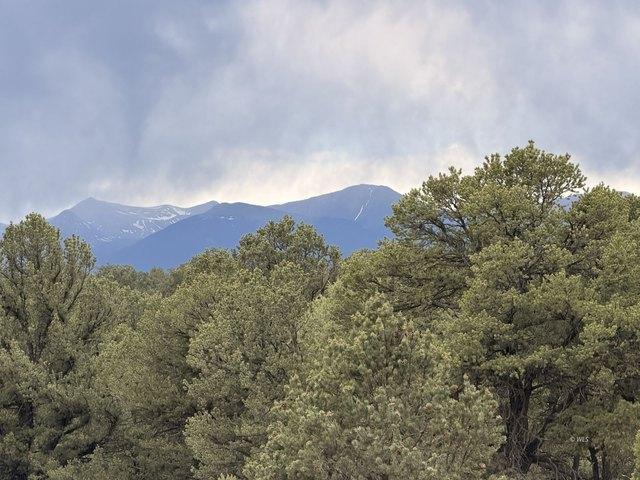 41st Trl, Cotopaxi, CO 81223