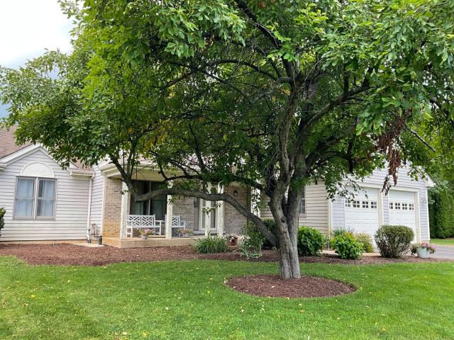41W610 Silvana Drive