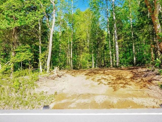 4205 Highway 49 Lot 3, Tennessee Ridge, TN 37178