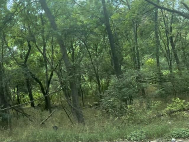 4205 Imperial Dr, Austin, TX 78725 | MLS #8319