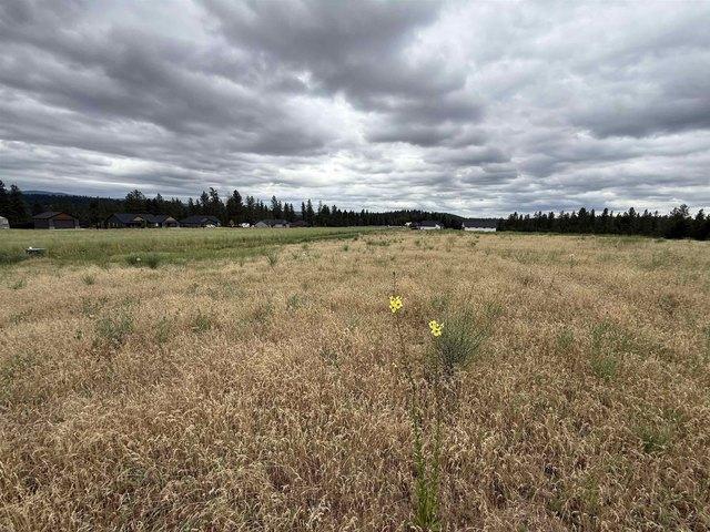 4207 E Molly Jean Ln, Chattaroy, WA 99003