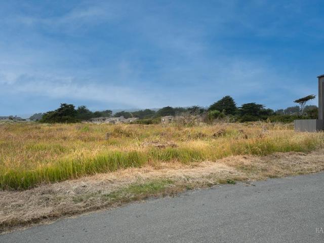 42080 Rock Cod, The Sea Ranch, CA 95497 | MLS #326057
