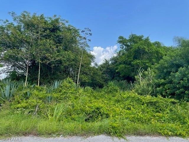 4208 28th St SW, Lehigh Acres, FL 33976