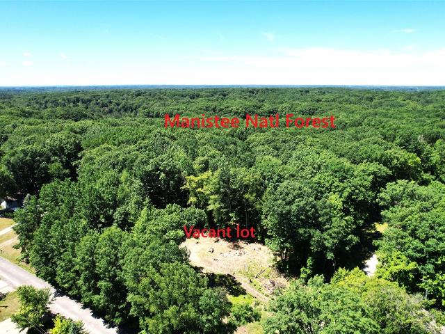 4209 E Townline Road