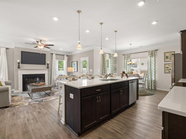 4209 Jabalia Lane
