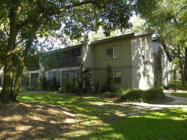 4209 Winding Moss Trail #104, Tampa, FL 33613