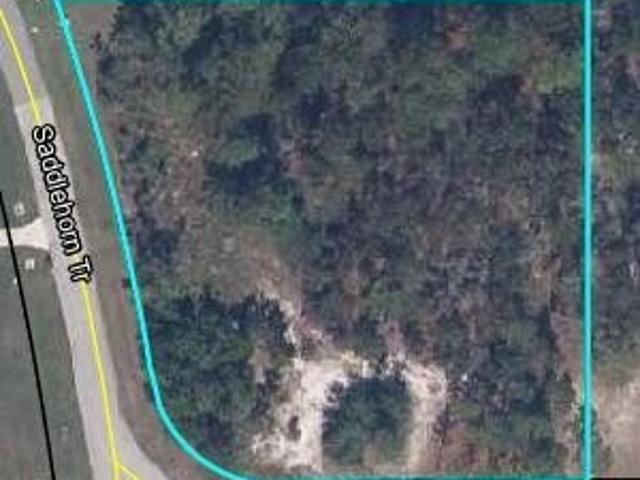 4200 Mail Coach Ct, Middleburg, FL 32068