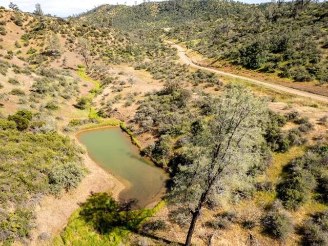 4200 Fiddlers Rd, Igo, CA 96047