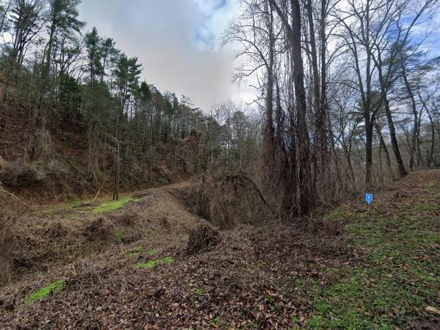 4200 S King Branch Rd, Sevierville, TN 37876 | MLS #3123 | Compass