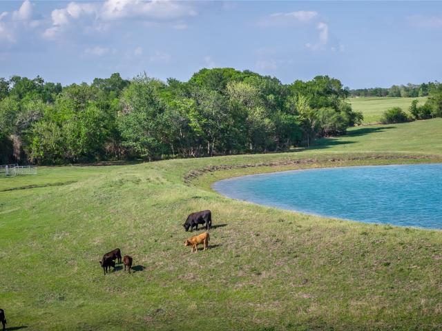 4201 Krueger Rd, Washington, TX 77880 | MLS #17269 | Compass