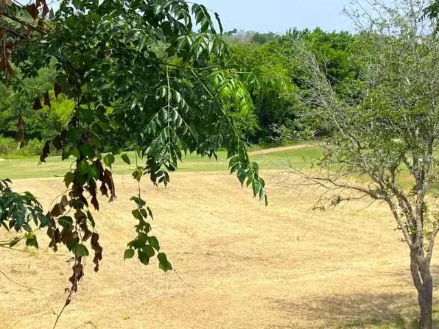 42025 Preston Trail, Whitney, TX 76692 MLS 20913608