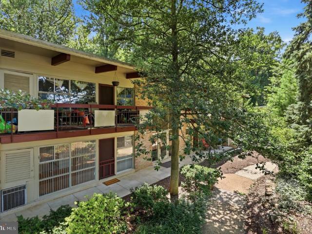 4203 Americana Drive # 101