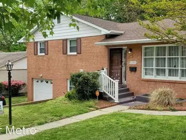 4203 Blacksnake Drive 4203 Blacksnake Dr