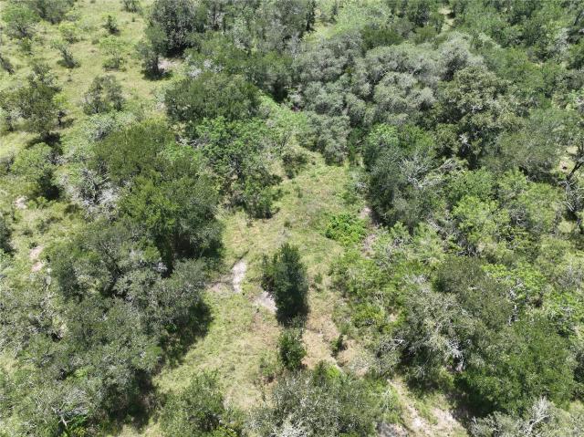 420 County Road 420, Waelder, TX 78959 | MLS #27350