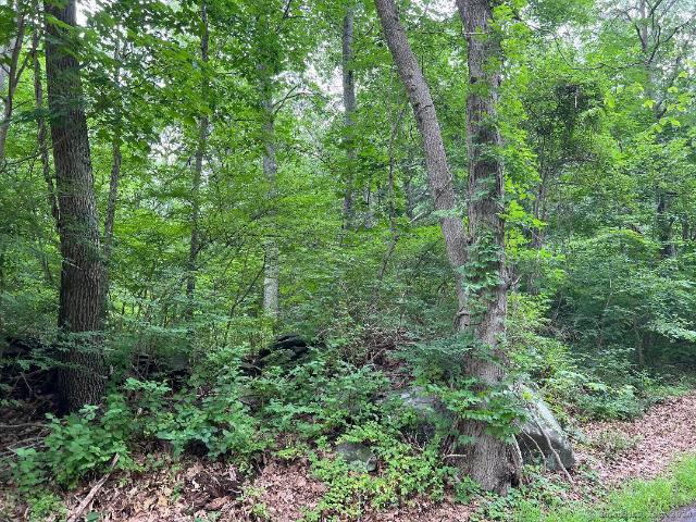 420 Cox Rd, Unit 5, Portland, CT 06480 | MLS #24021 | Compass