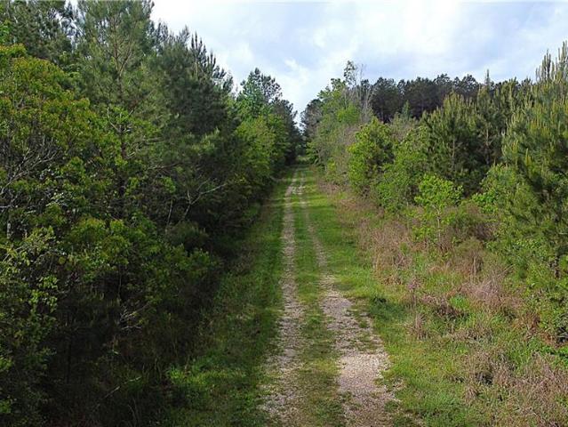 420 Acres Palmer Road