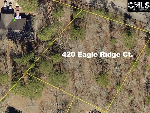420 Eagle Ridge Ct, Gaston, SC 29053