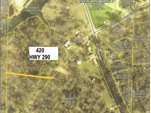 420 Highway 290