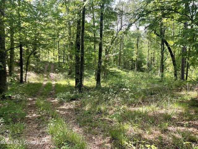420 SE River Rd Dr, Bogue Chitto, MS 39629