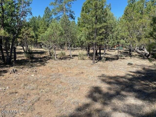 4214 Juniper Dr Unit 46, Happy Jack, AZ 86024