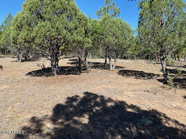 4214 juniper drive # 46